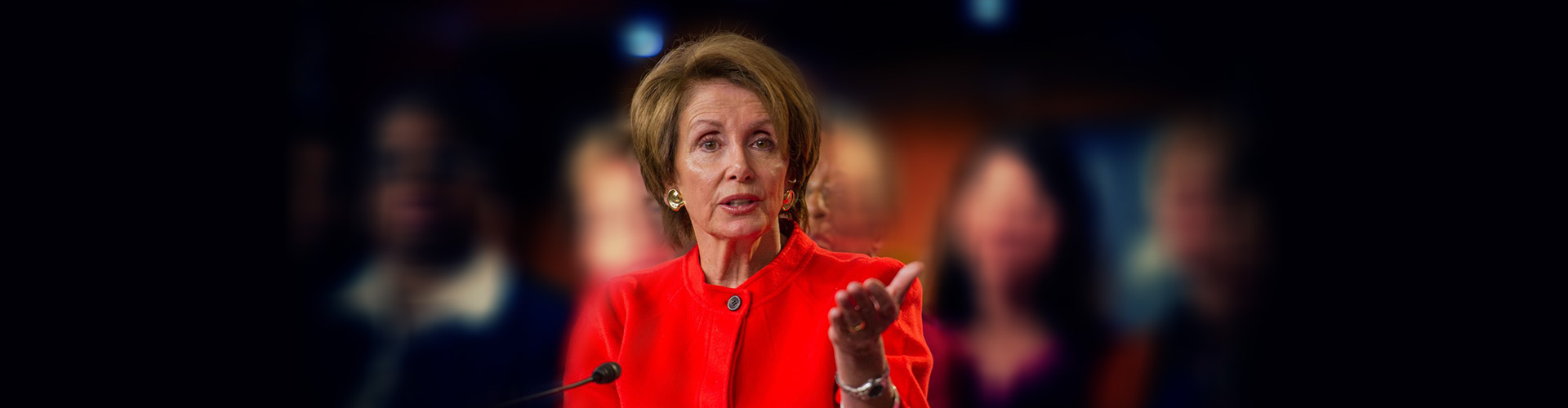 Illinois Democrat Ann Callis Trying To Hide The Real Reason She Is ...