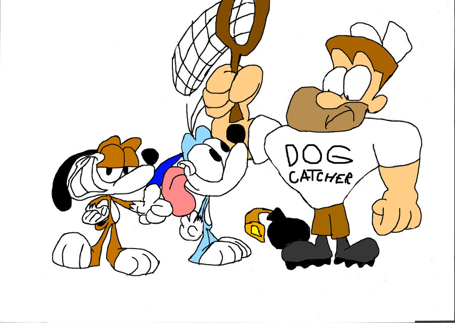 This Democratic Congressional Candidate is Campaigning Like He's ...