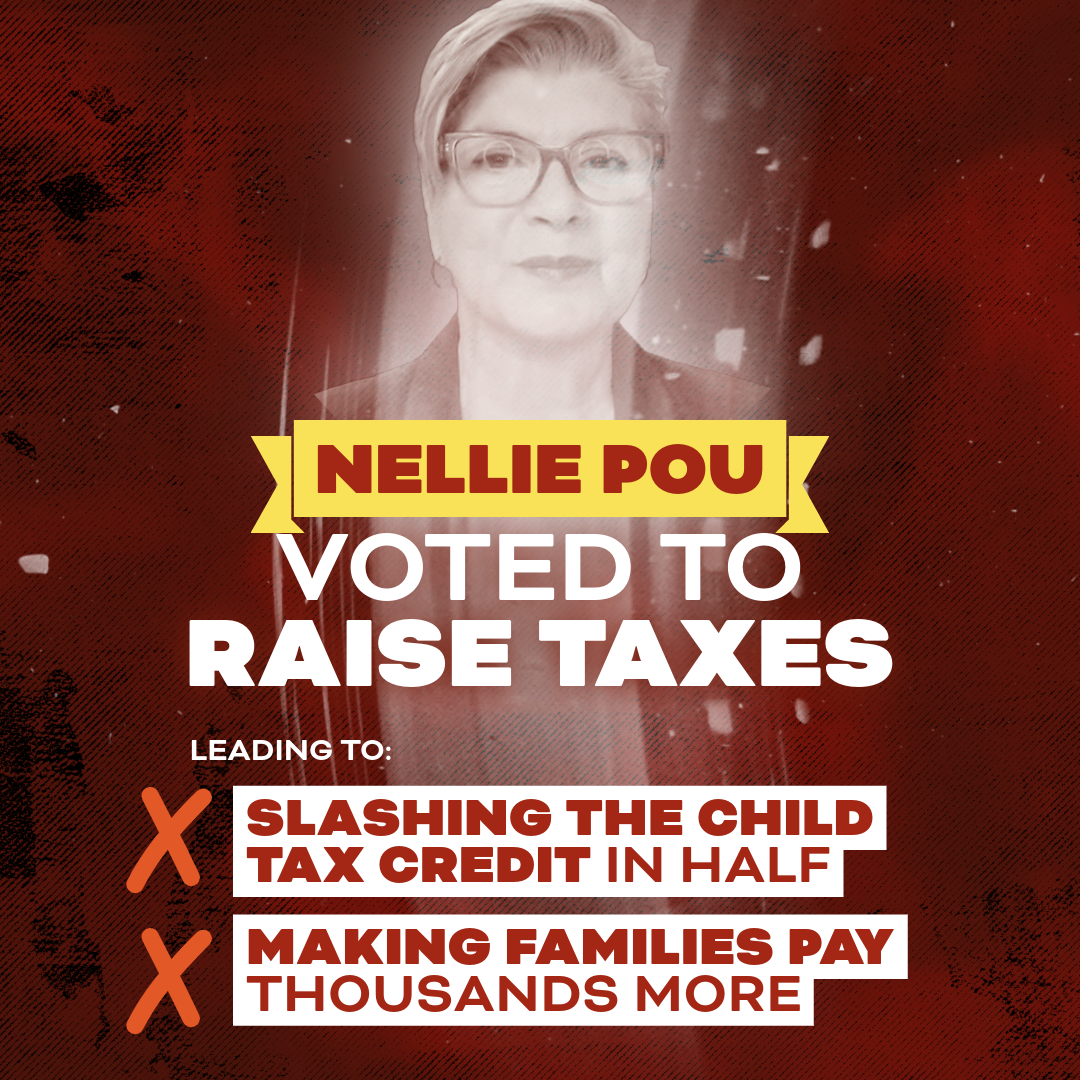 NRCC Launches Paid Digital Ad Campaign Targeting Vulnerable Nellie Pou ...